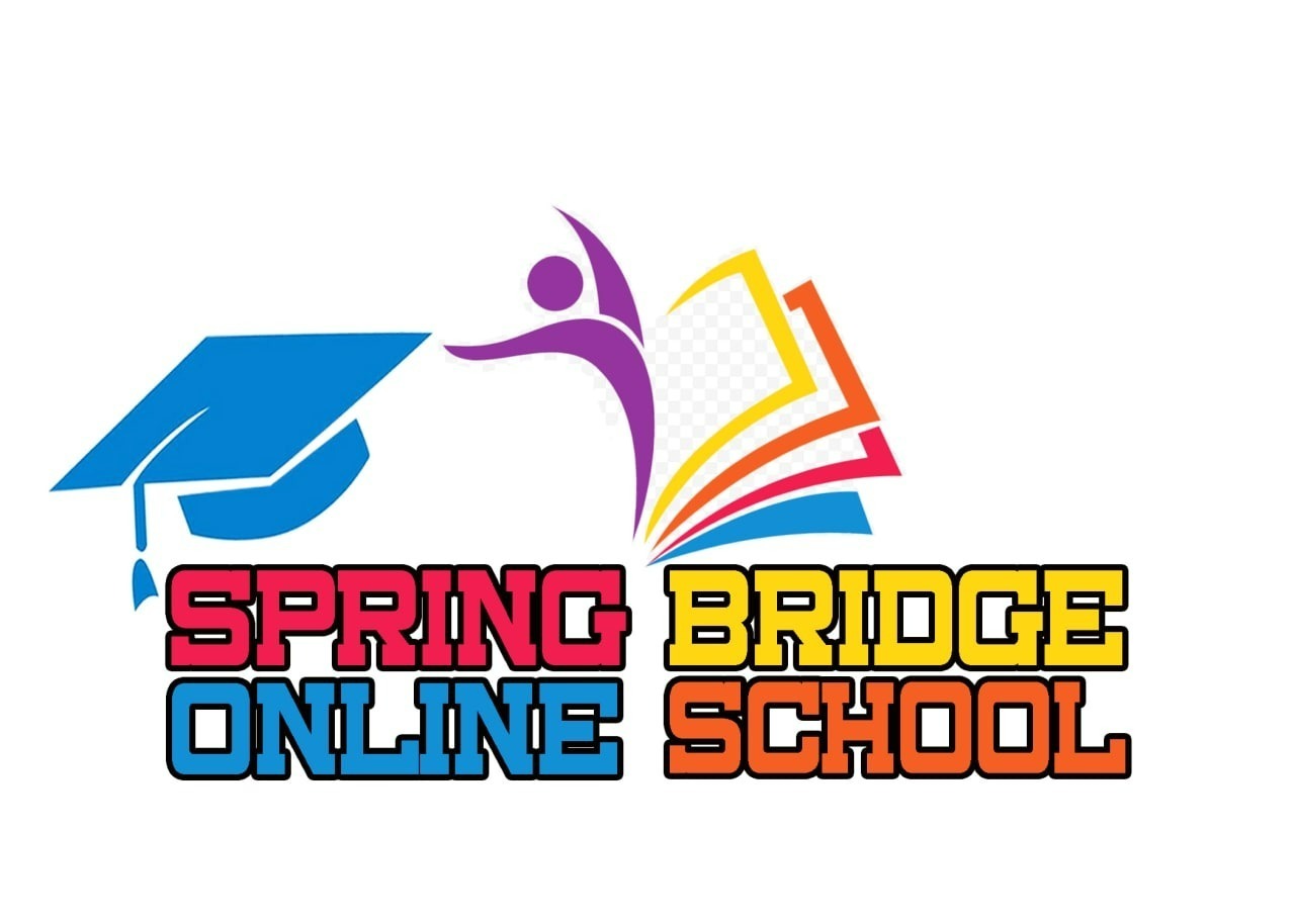 Spring Bridge Online Education Program | NEW MYANMAR FOUNDATION
